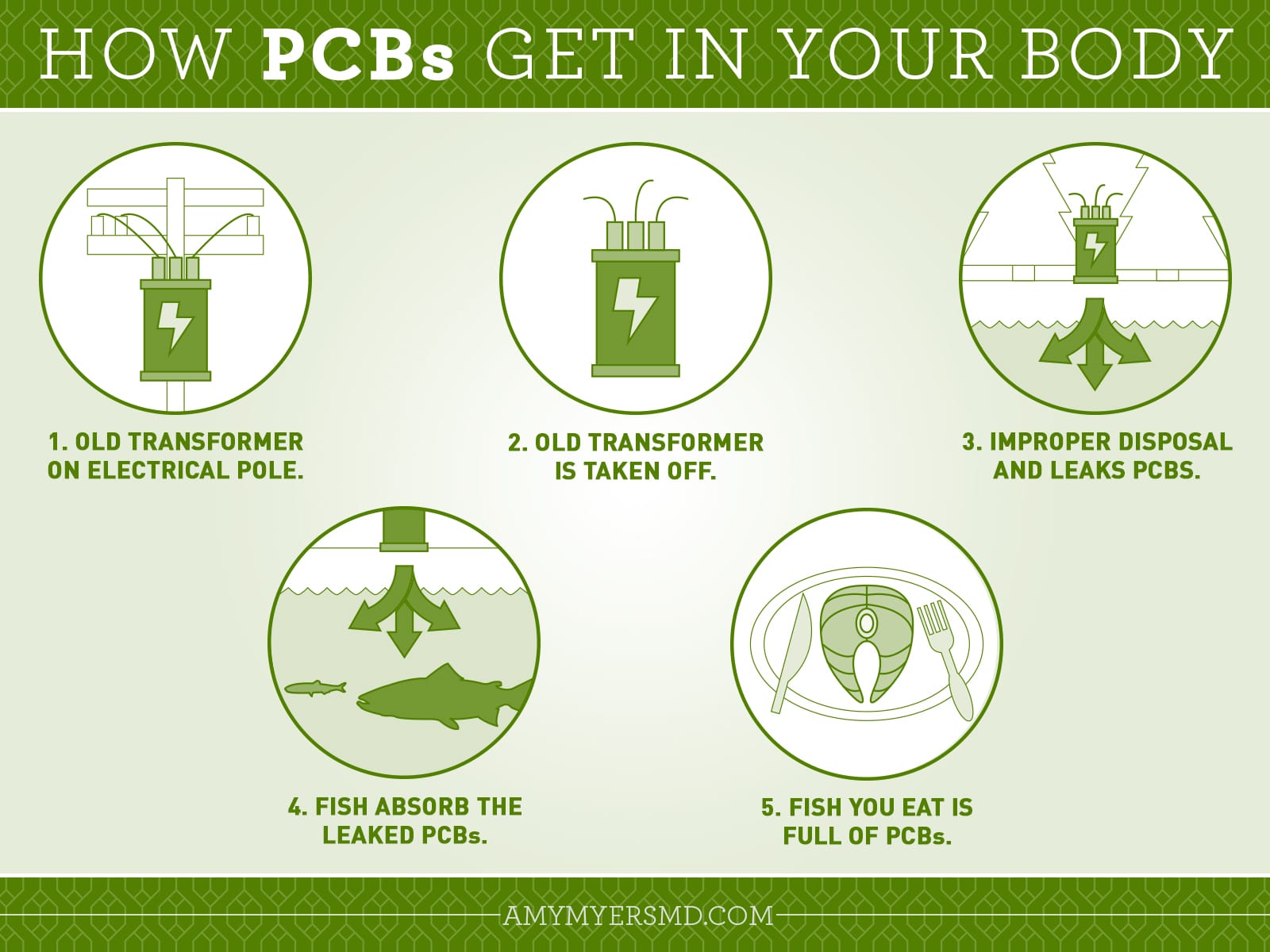 Complete Omega-3 | Amy Myers MD