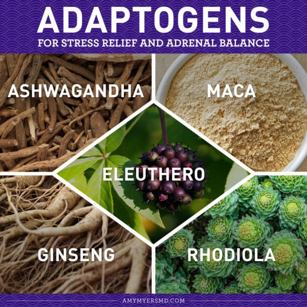 The 5 Best Adaptogens to Fight Stress & Adrenal Fatigue – AMMD