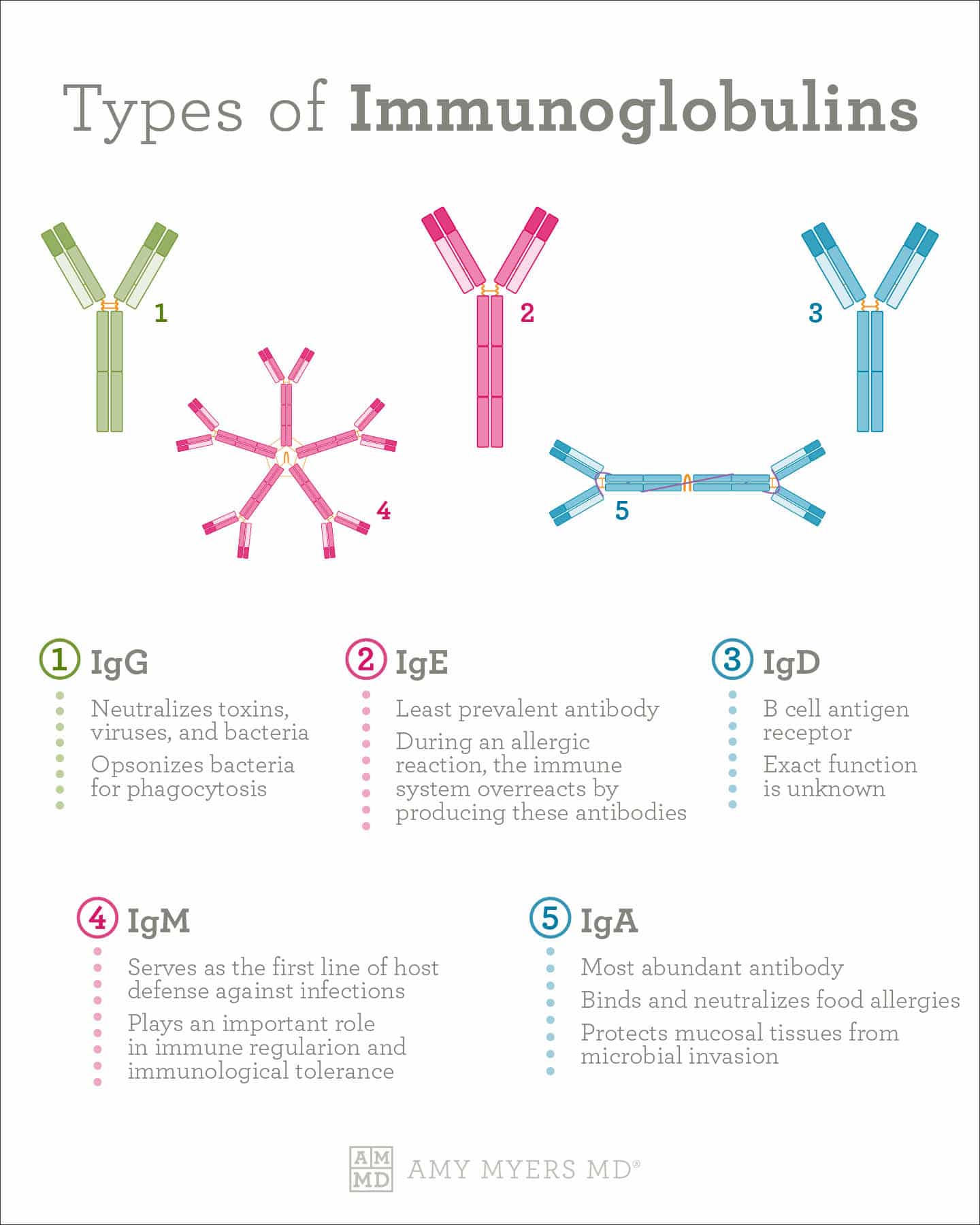 ImmunoLin® vs. Colostrum: Which One Should You Choose? | Amy Myers MD