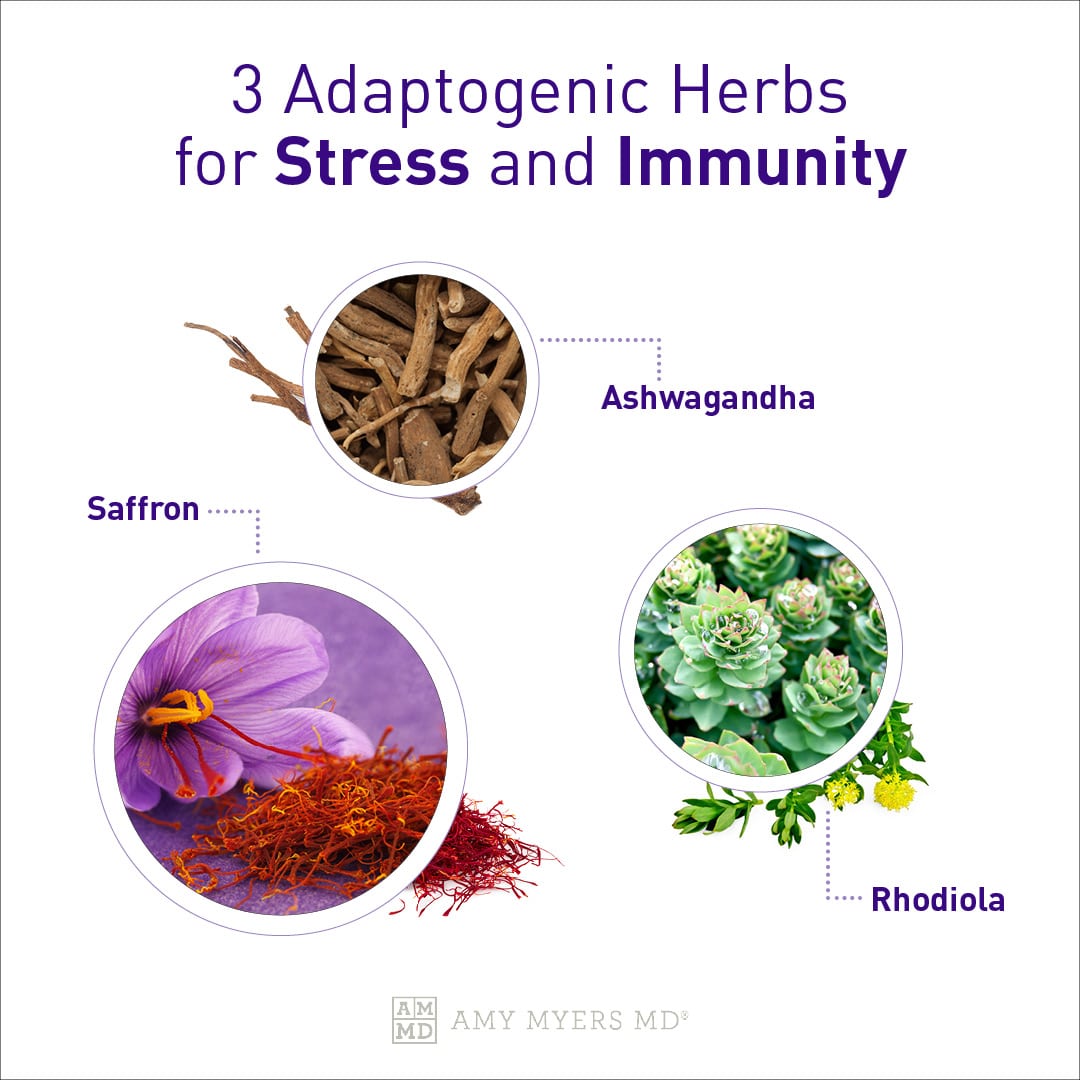 3 Adaptogenic Herbs for Stress and Immunity – AMMD